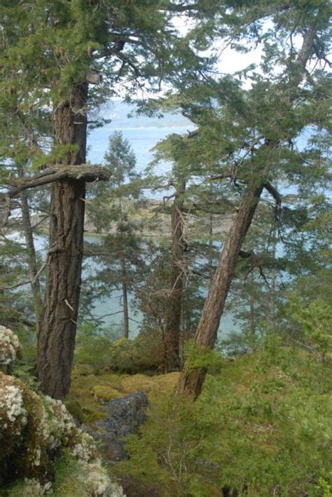 Lasqueti Island Nature Conservancy Lasqueti Island