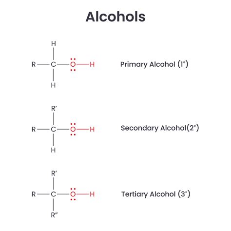 Alcohol Biochemistry Functional Group Vector Infographic 23626889