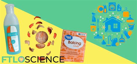 Complete Guide To Writing A Lab Report With Example Ftloscience