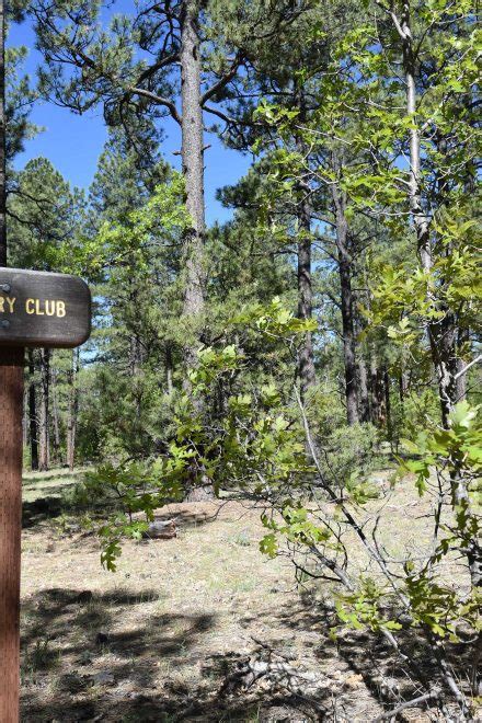 Dining Review Chilte Phoenix Magazine