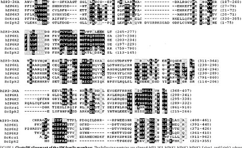 Figure 1 From Of Inositol Pyrophosphates And Metabolic Relationships In