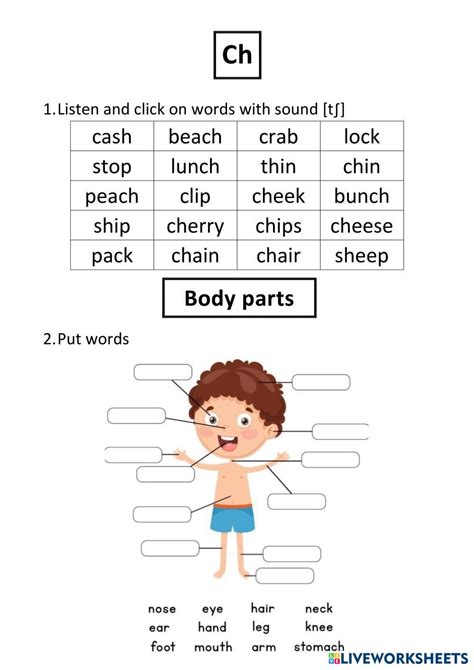 Ch And Body Parts Live Worksheets Worksheets Library