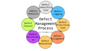 Defect Management Process TestingDocs