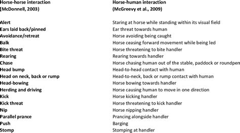 Agonistic Behavior Of The Horses Download Scientific Diagram