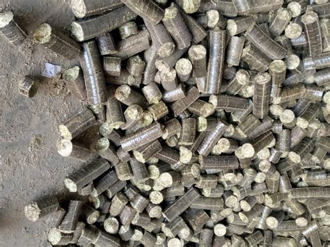 6mm Biomass Non Torrefied Pellet At ₹ 16kg Biomass Pellet In
