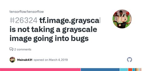Tfimagegrayscaletorgb Is Not Taking A Grayscale Image Going Into Bugs · Issue 26324