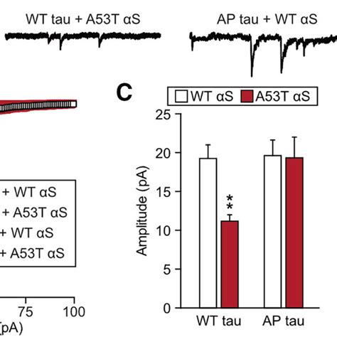 A53t S Induces Tau Phosphorylation Dependent Cell Autonomous