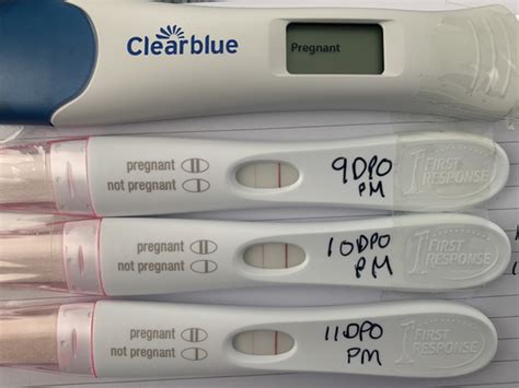 First Response Pregnancy Test Progression Pregnancy Test Line