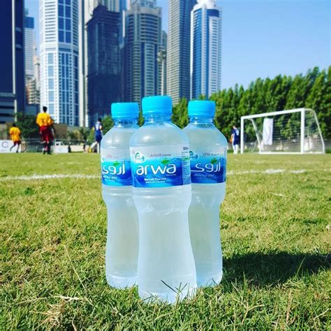garrafas cachaça alpi do circuito das Águas de são paulo Artofit