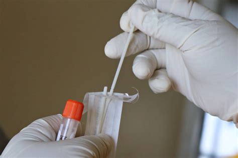 Qual é a diferença entre os testes de PCR antigénio e rápido de anticorpos