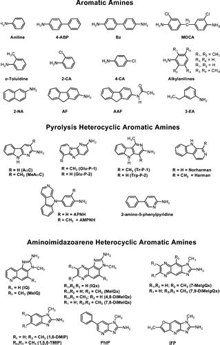 Heterocyclic Aromatic Amines