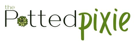 Uncovering The Spiritual Meaning Of Cacti And What They Symbolize