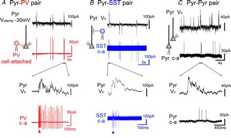 Interictal Events Are Associated With Intense Interneuronal Firing A