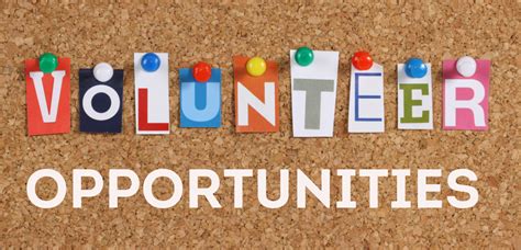 We Need Volunteers Friends Of Joe Michell School