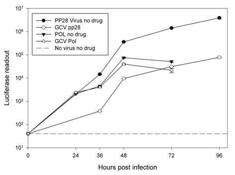 Timing And Expression Pattern Of Pp28 And Pol Luciferase Cmv