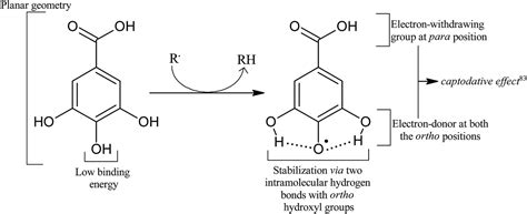 五倍子没食子酸 a Universal Antioxidant