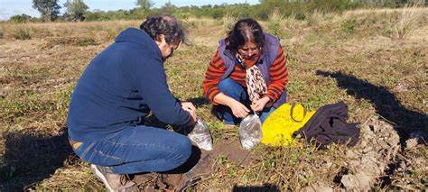 7 De Julio Hoy Se Celebra El Día Internacional De La Conservación De Suelos Infoqom