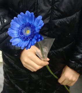 札幌葬儀花専門 com札幌市のお葬式会場にお花供物をお届けします