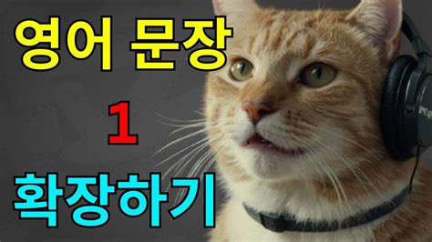 영어문장 확장연습 1 영어로 길게 말하기 Youtube