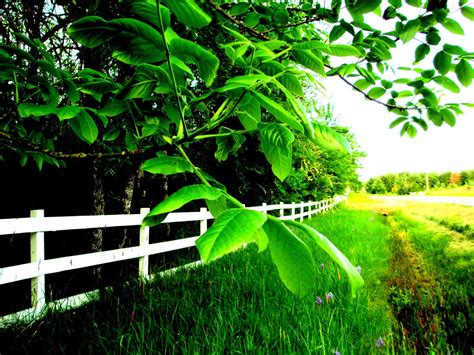 Outdoors And Nature Outdoor Photo
