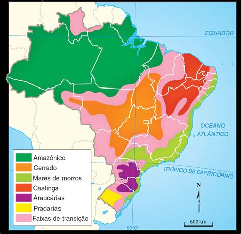 Formações Vegetais E Domínios Morfoclimáticos Brasileiros Mind Map