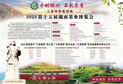 公司新闻 湖南湘丰桑植白茶有限公司