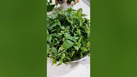 این ریحان خودم کاشتم و چه لذتی داره وقتی خودت سبزی میکاری و برداشت می