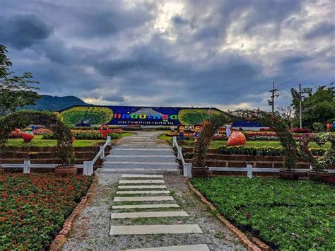 บานสะพรั่ง เทศกาลดอกไม้งามแห่งขุนเขา “หนาวสุดกลางสยาม” บนแก่นมะกรูด จ อุทัยธานี