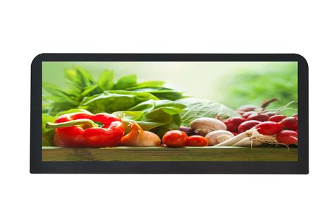 Inch Wide Temp LCD Display With CTP And OCA Bonding CDTech LCD Touch Screen