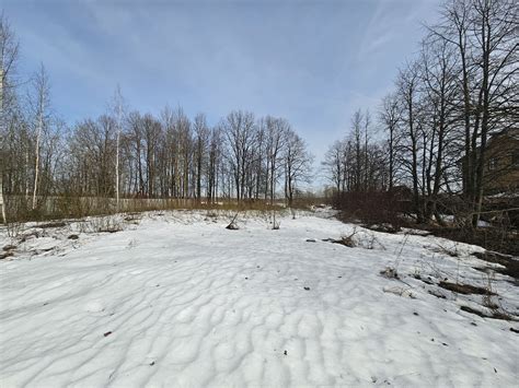 Земли поселения Московская область Дмитровский городской округ деревня Рождествено агентство