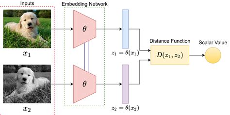 深入解析：匹配网络（matching Networks）的原理和应用 Csdn博客