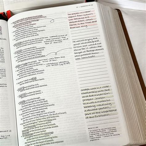 𝚆𝚎𝚕𝚕 𝚘𝚏 𝙵𝚊𝚒𝚝𝚑 on Instagram The scepter shall not depart from Judah