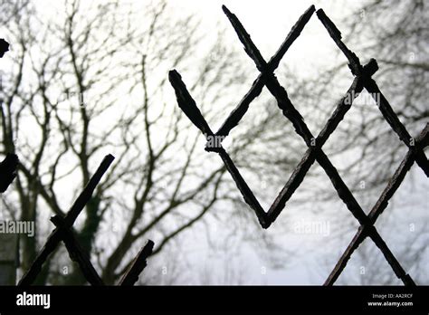 Rusty Metal Trellis Stock Photo Alamy