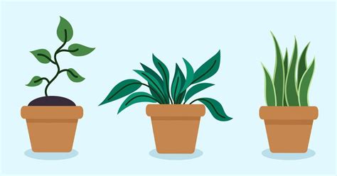Plant Animation Vector Art Icons And Graphics For Free Download