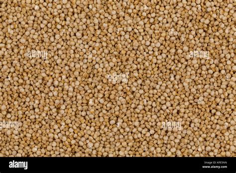 Organic Quinoa Chenopodium Quinoa Seeds Macro Close Up Background