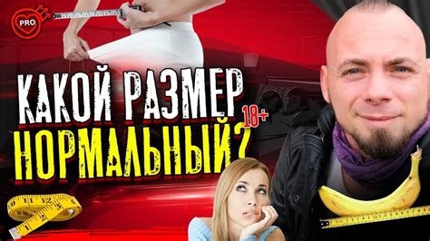 Какой нормальный размер члена? Средний размер пениса, чтобы подарить ...