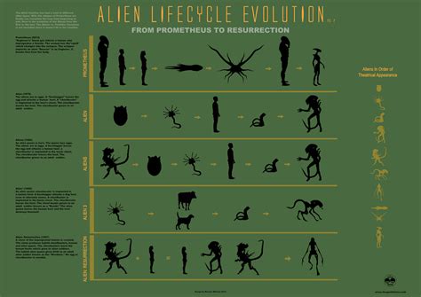Evolution Of The Alien Infographic From Prometheus To Alien