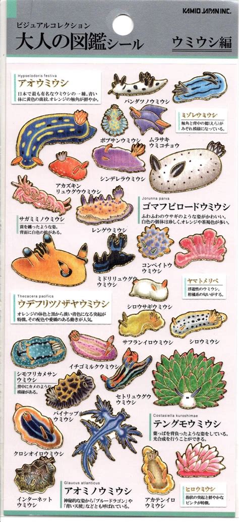 Sea Slug Stickers Paper Stickers Kamio Reference A11248 Etsy Sea