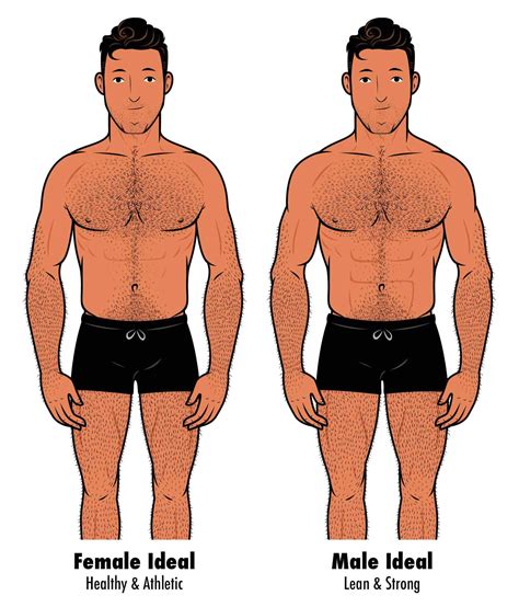 Most Attractive Female Body Shape