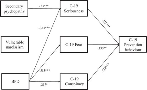Results From The Path Analysis For Vulnerable Dark Triad Traits For