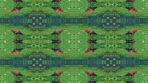 Munish Wadhia Liljevalchs