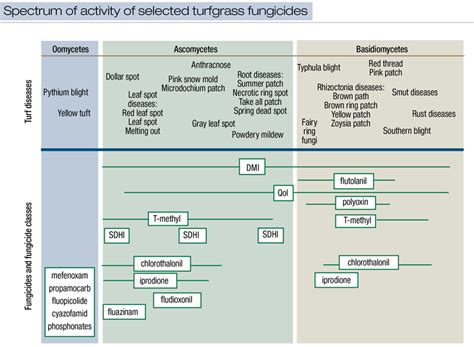 Combination Fungicides For Improved Turfgrass Disease Control