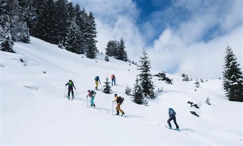 The Guardian” Aventurë Në Bjeshkët E Nemuna Albanian Insider Agency