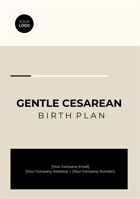 Free Birth Plan Templates Editable And Printable