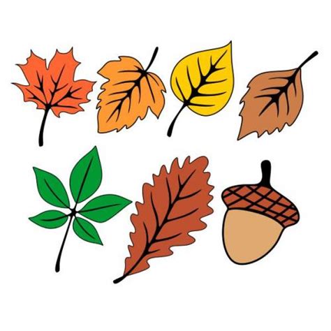 Fall Leaves Pack Svg Apex Designs And Fonts