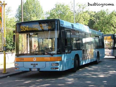 7201 7356 Man Nl263 Photo Transport Italia