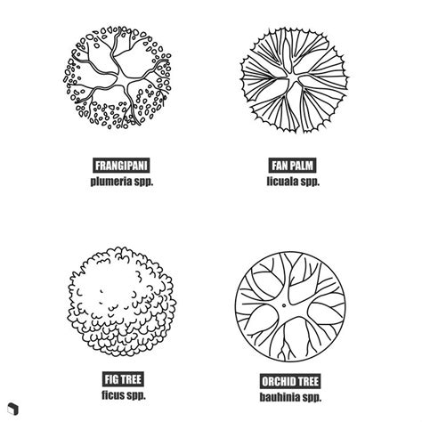 Cad Top View Trees With Names