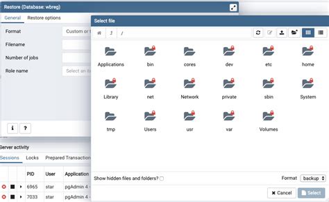Macos Pgadmin 4 On Mac Does Not See The File System When Trying To