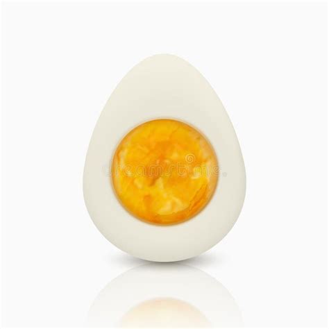 Vector 3d Realistic Chicken Egg Peeled Boiled Chicken Egg Hard Boiled