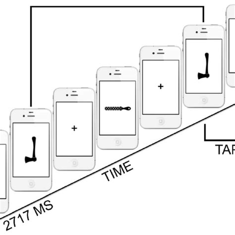 The Trial Structure And Timing In A Two Back Task Of Download Scientific Diagram